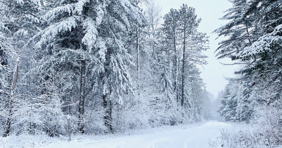 Kein Präsenzunterrichtam 12.01.2026 | Michael-Schule Kath. Grundschule